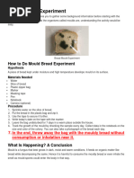 Bread Mold Growth Observation Days 1-17 | PDF