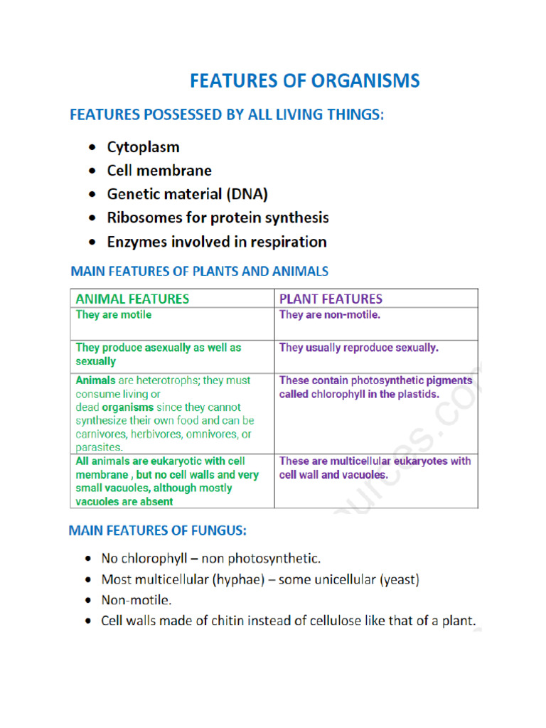 Classification Notes | PDF