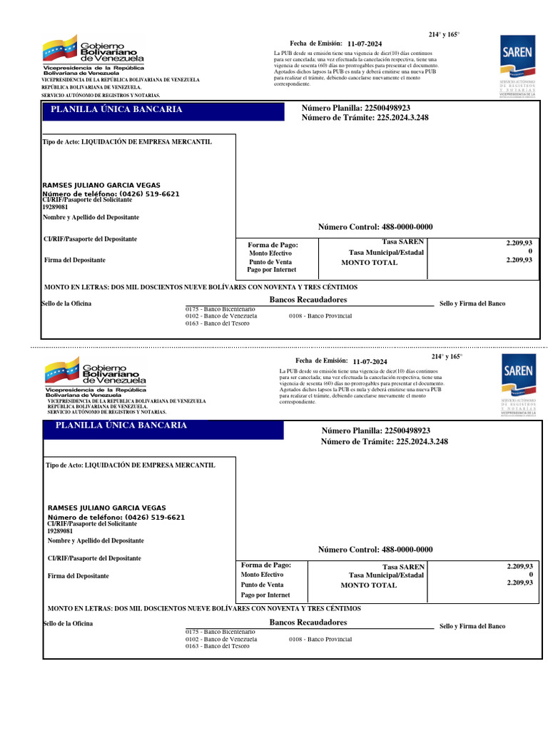 Planilla PUB | PDF | Bancos | Venezuela