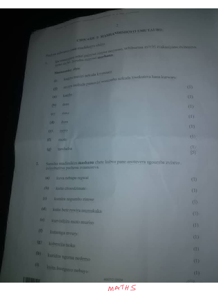 Shona Paper 2 June 2024 | PDF