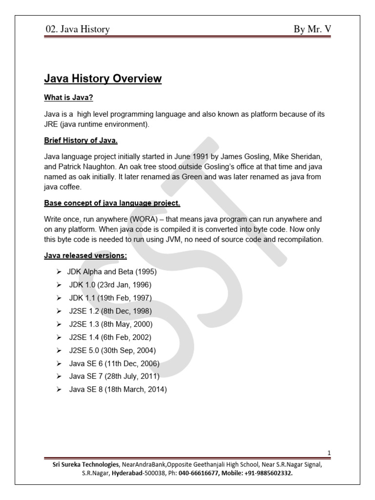 02.java History Overview | PDF
