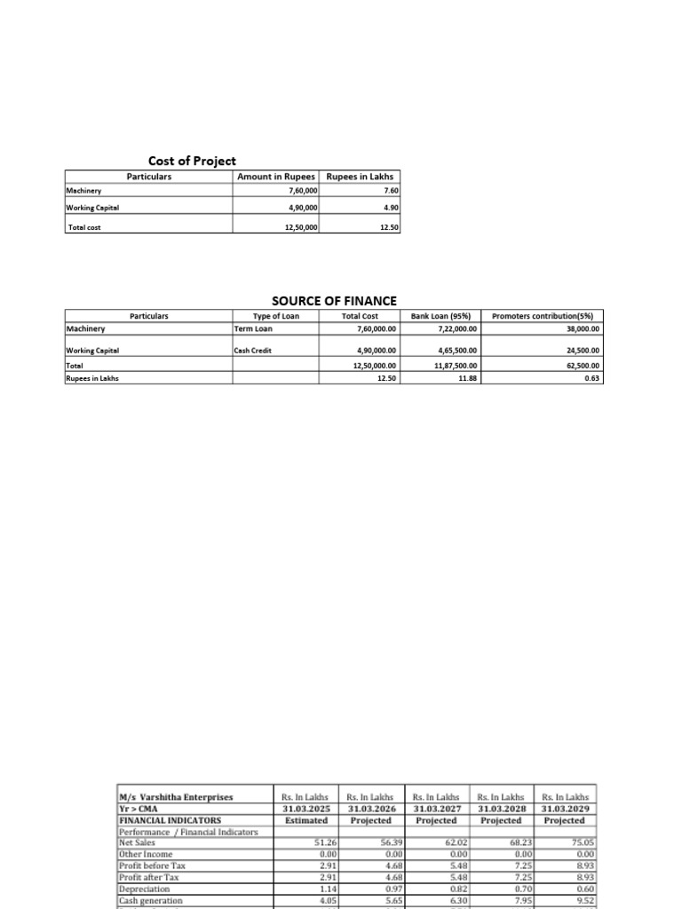 Revised Project report | PDF | Income Statement | Working Capital