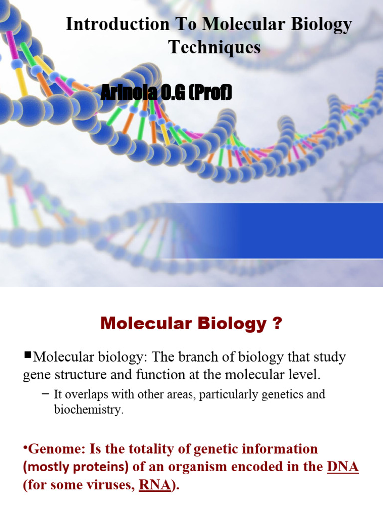 Molecular Biology | PDF | Rna | Dna