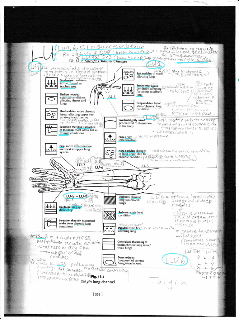 Channel Theory - Ch13 - Channel Palpation | PDF