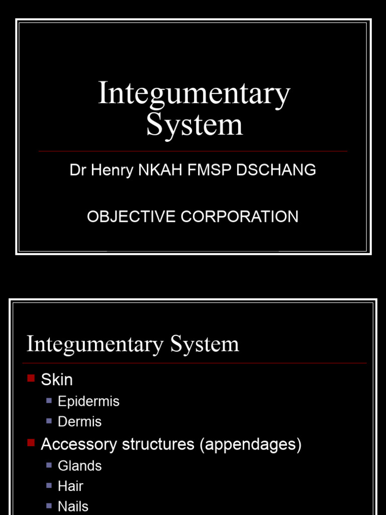 Overview of the Integumentary System | PDF | Integumentary System ...