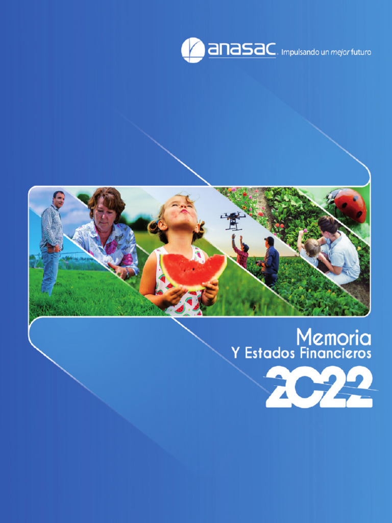 Anasac Memoria EEFF 2022 | PDF | Chile | Business