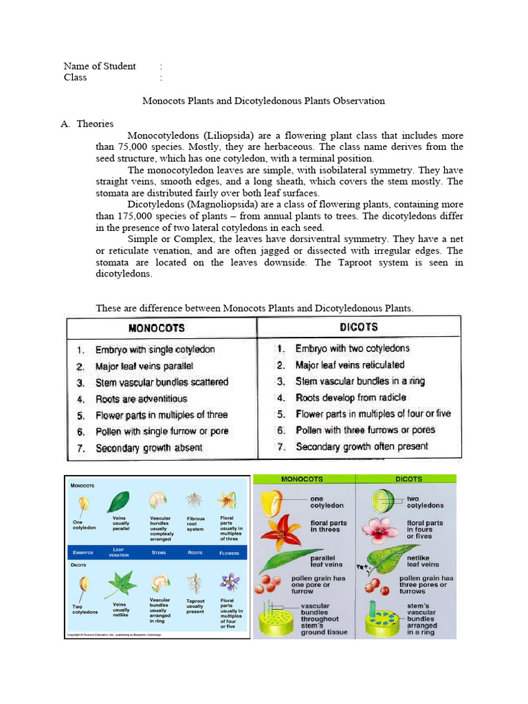 Observation Dicots and Monocots Plants | PDF