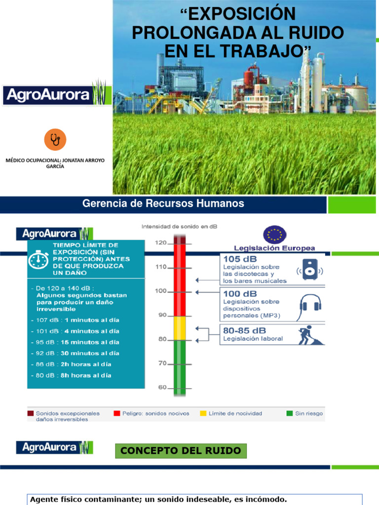 EXPOSICIÓN PROLONGADA AL RUIDO EN EL TRABAJO | PDF | ruido | Sonido