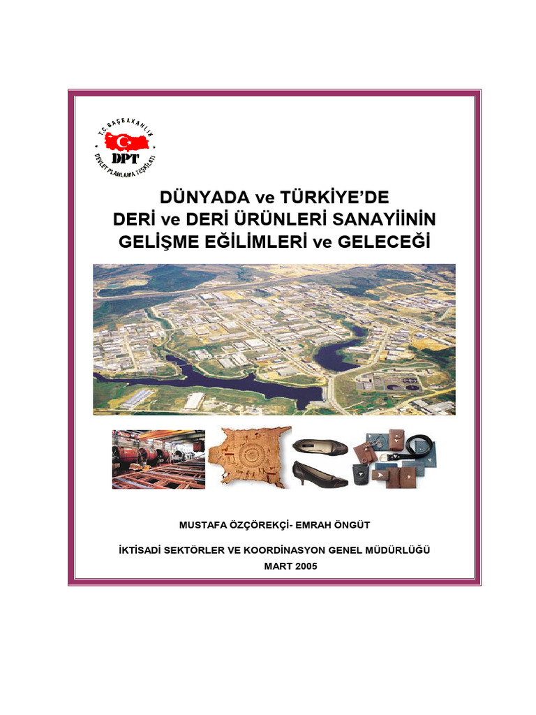 Dunyada Ve Turkiyede Deri Ve Deri Urunleri Sanayiinin Gelisme ...