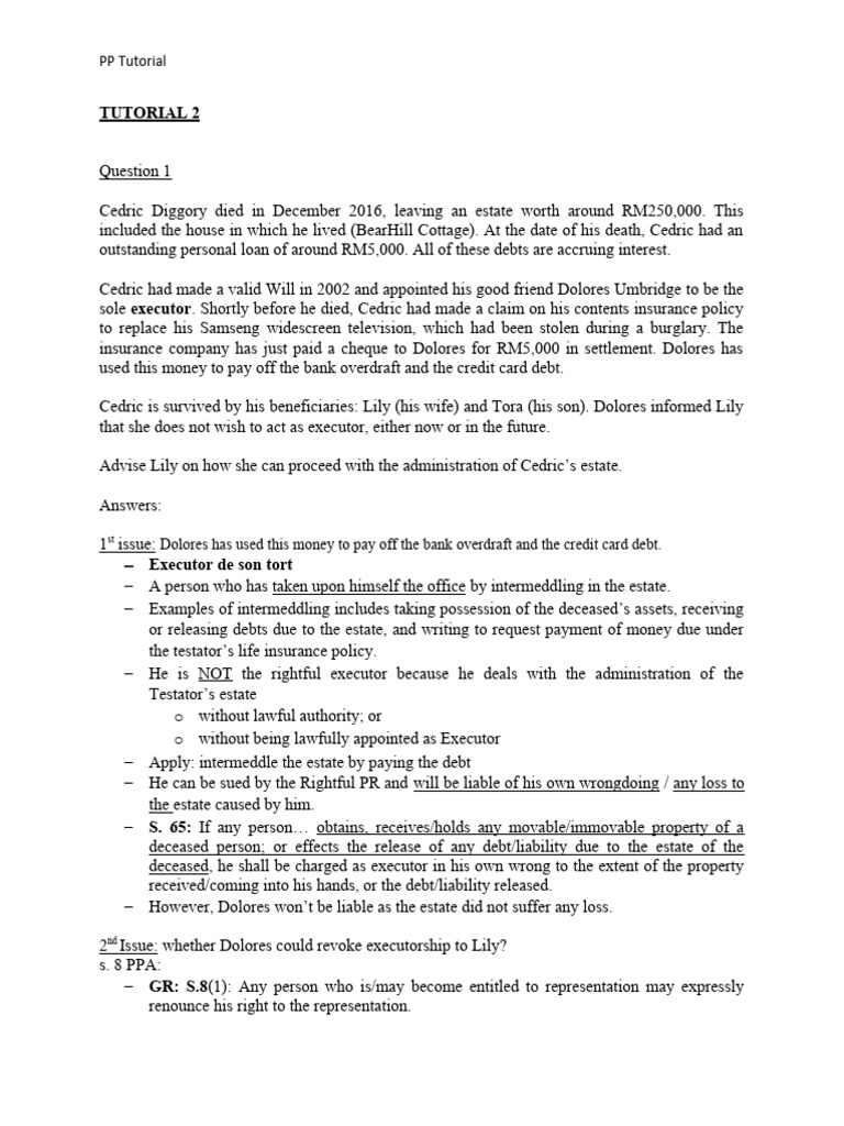 Estate Administration Guidance for Lily | PDF | Executor | Probate