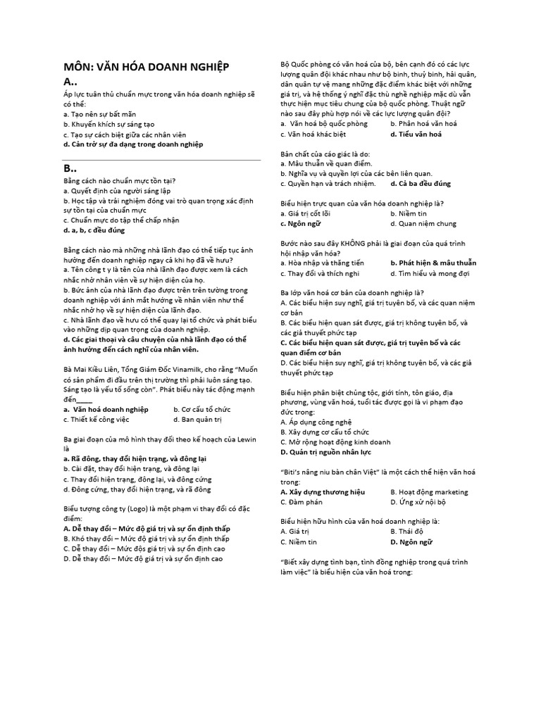 Vhdn - văn hóa doanh nghiệp | PDF