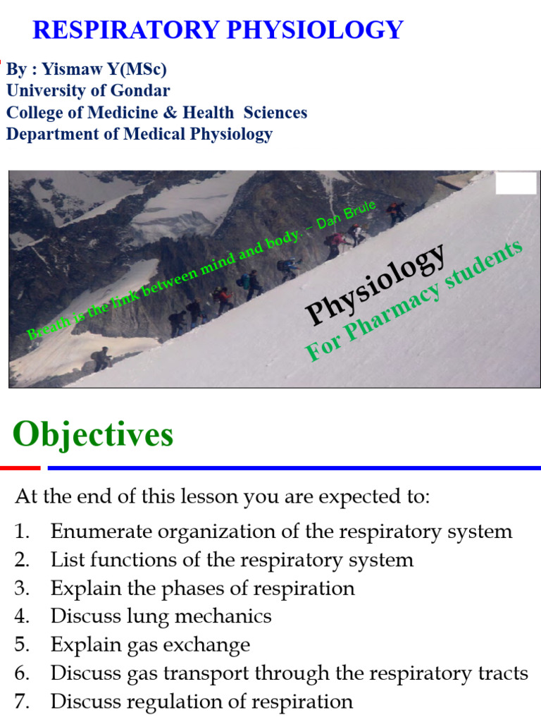 Respiratory system | PDF | Respiratory Tract | Lung
