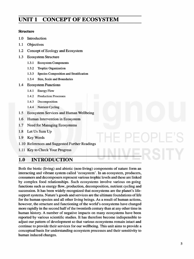 Unit 1 | PDF