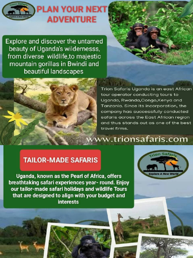 Plan Your Next Adventure | PDF