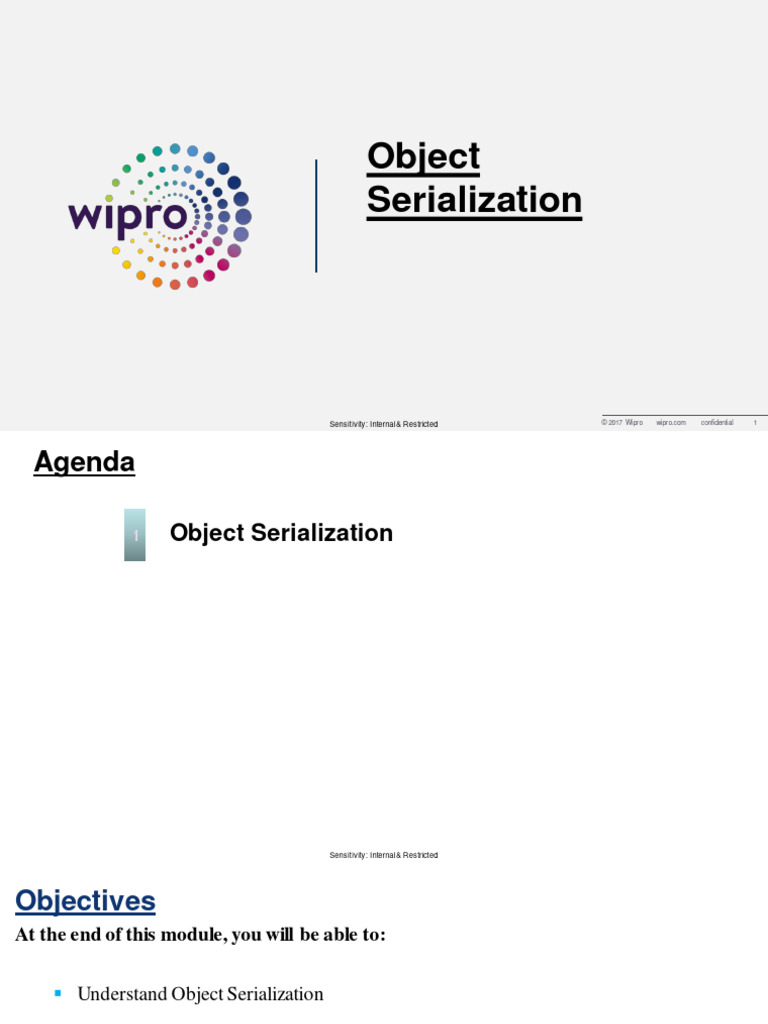 17 Object Serialization Pdf Programming Paradigms Computer Programming