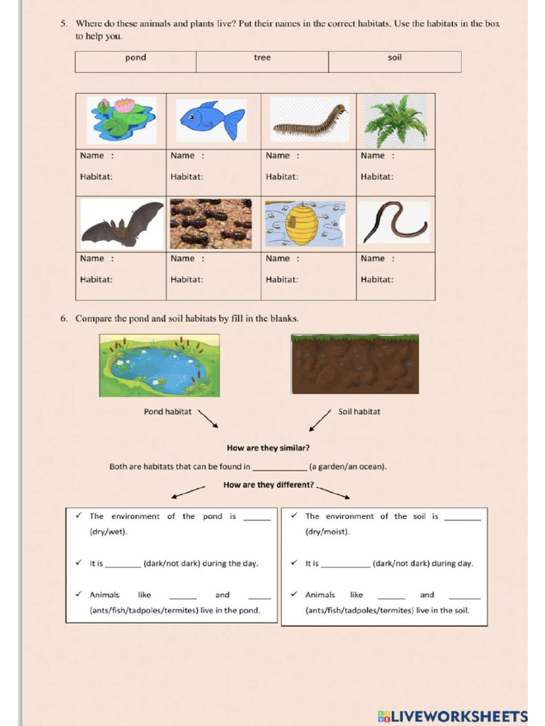 Unit1 Homework | PDF