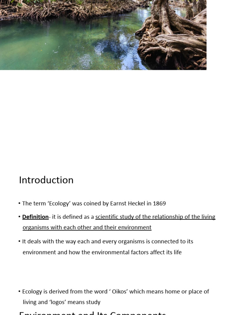 Ecosystem and Ecology Lecture-1 | PDF | Food Web | Ecosystem
