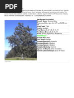 Au SC 1671439210 Australian Plant Adaptations - Ver - 1 | PDF ...