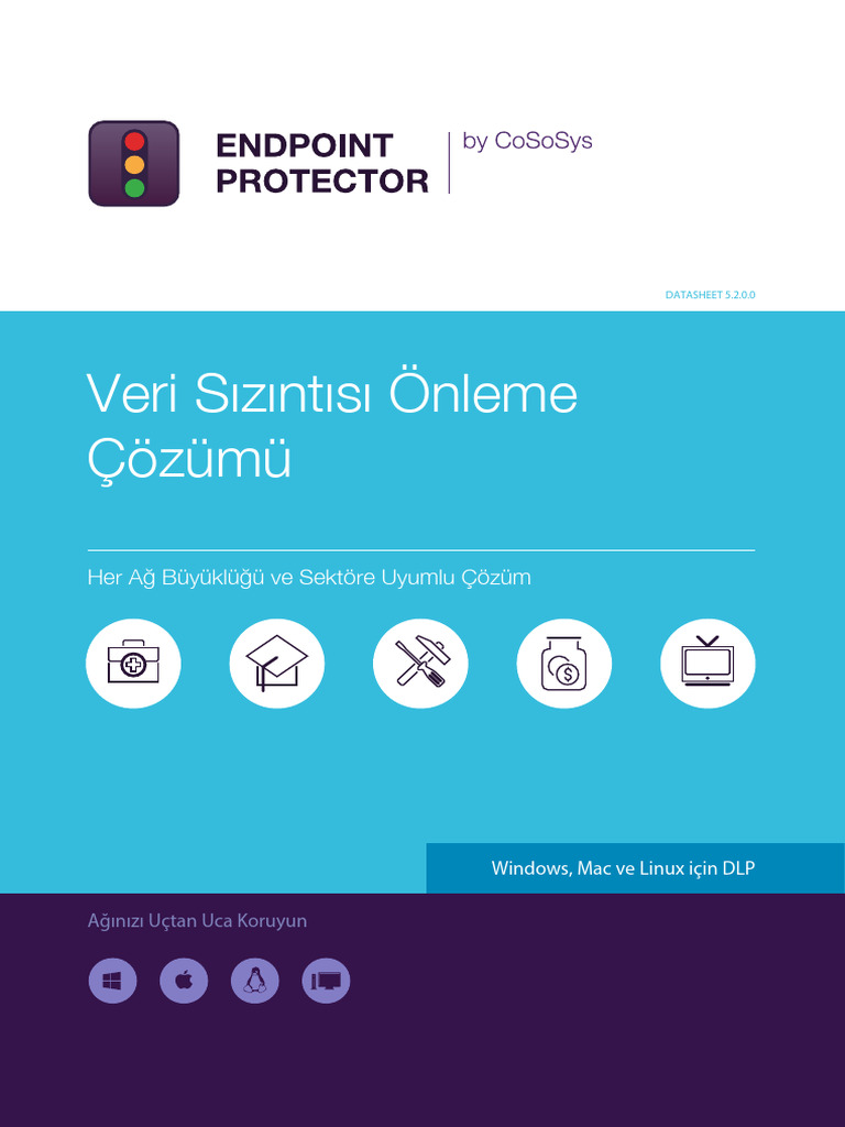 Cososys Epp DLP Datasheet | PDF