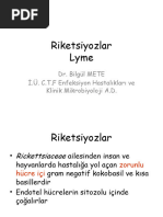 Tatarcik | PDF