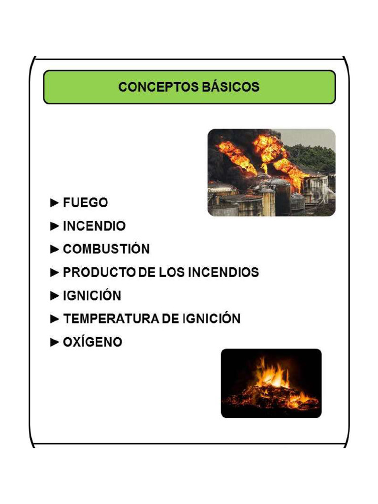 Conceptos Básicos | PDF