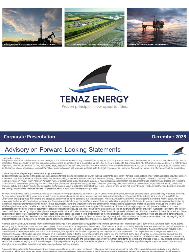 Static6164cf34a8e54b2e687f89e3t41209tenaz Energy - Corporat | PDF ...