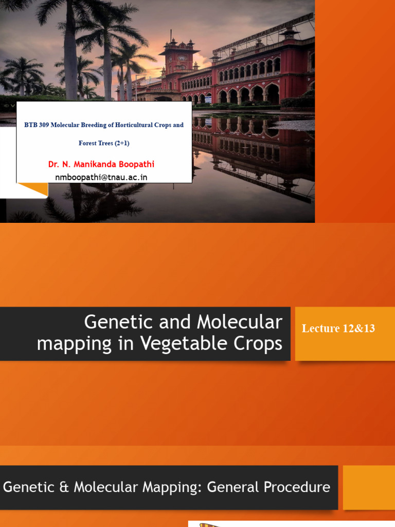 Lecture 12 And 13 Pdf Single Nucleotide Polymorphism Genetic Linkage