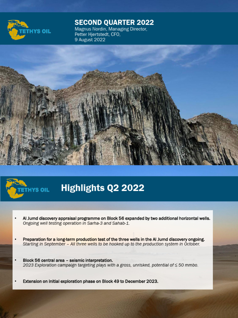 Tety-Q2-22-Presentation 7 | PDF | Barrel (Unit) | Opec