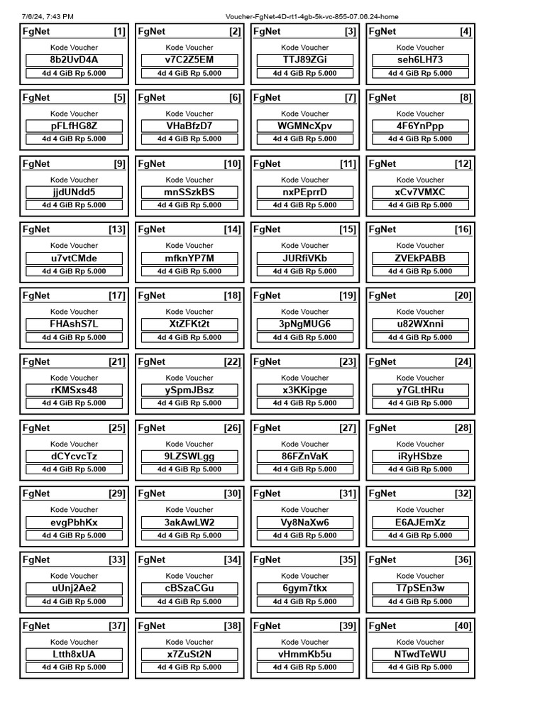 Voucher-FgNet-4D-rt1-4gb-5k-vc-855-07.06.24-home | PDF