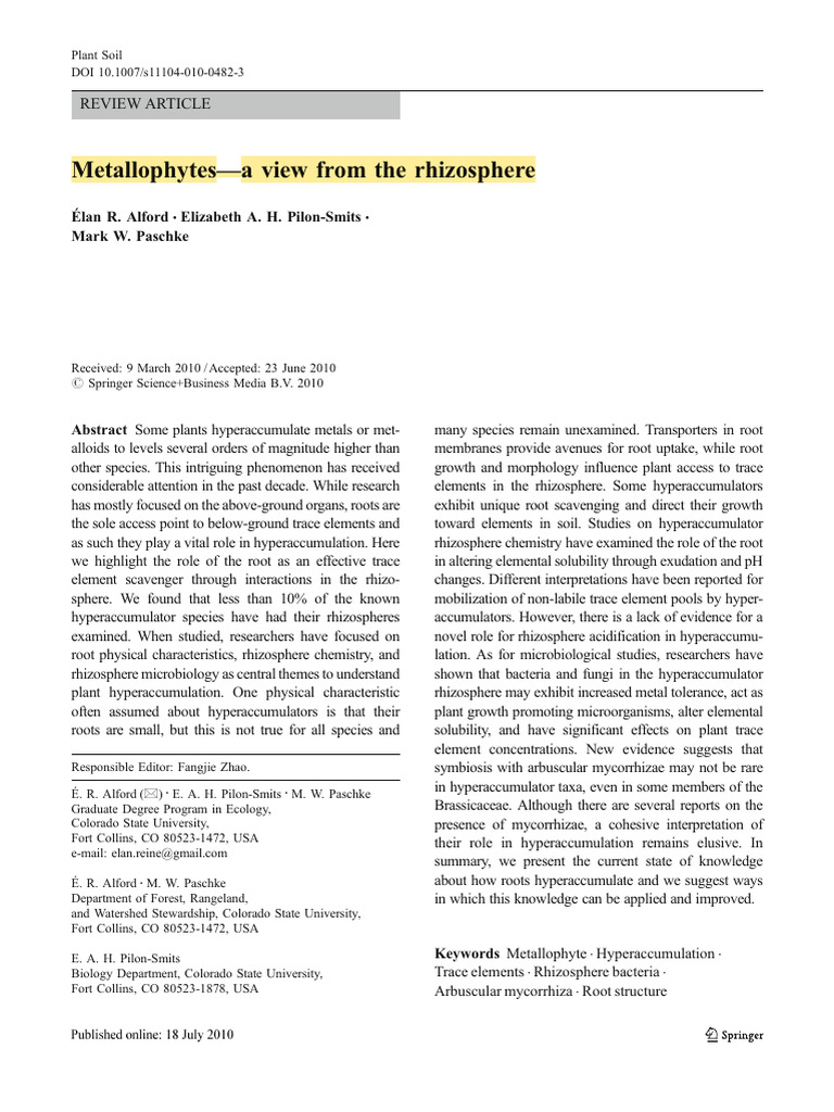 Metallophytes A View From The Rhizospher | PDF | Root | Organisms