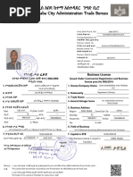 Business License | PDF