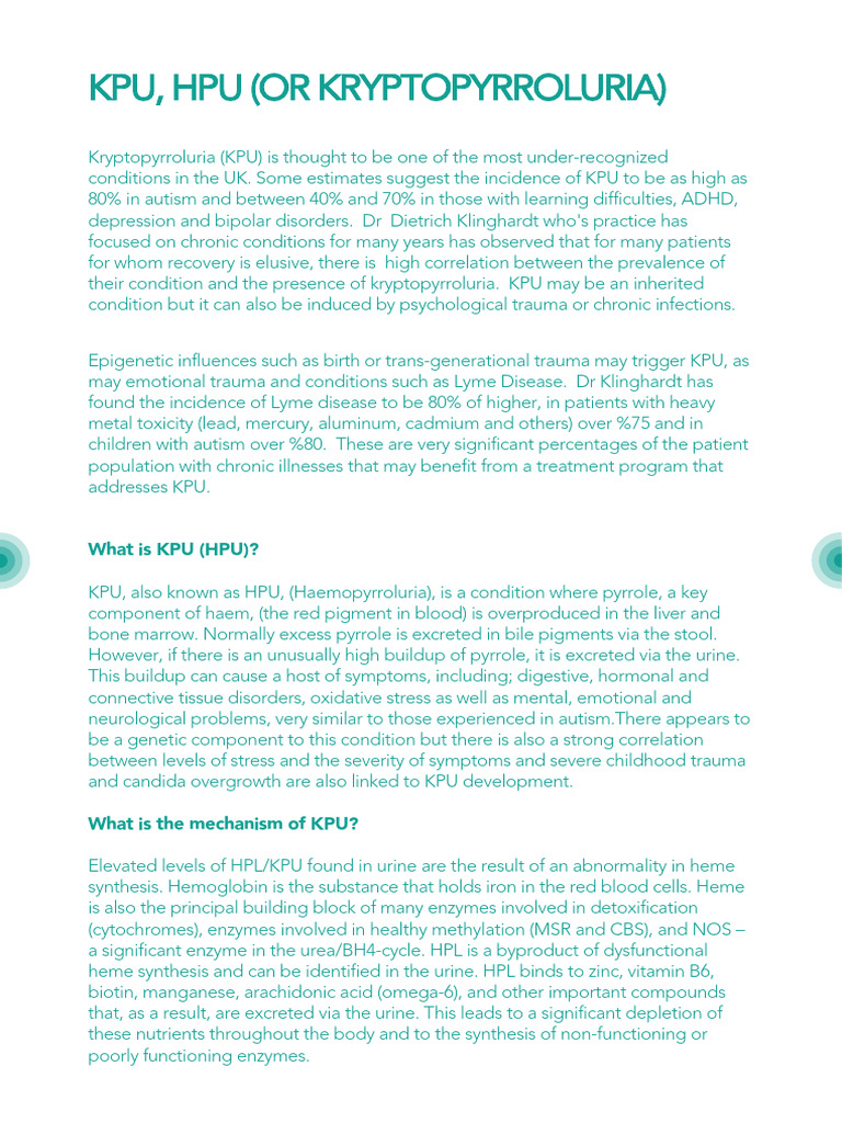 KPU Pyroluria A | PDF | Lyme Disease | Glutamic Acid