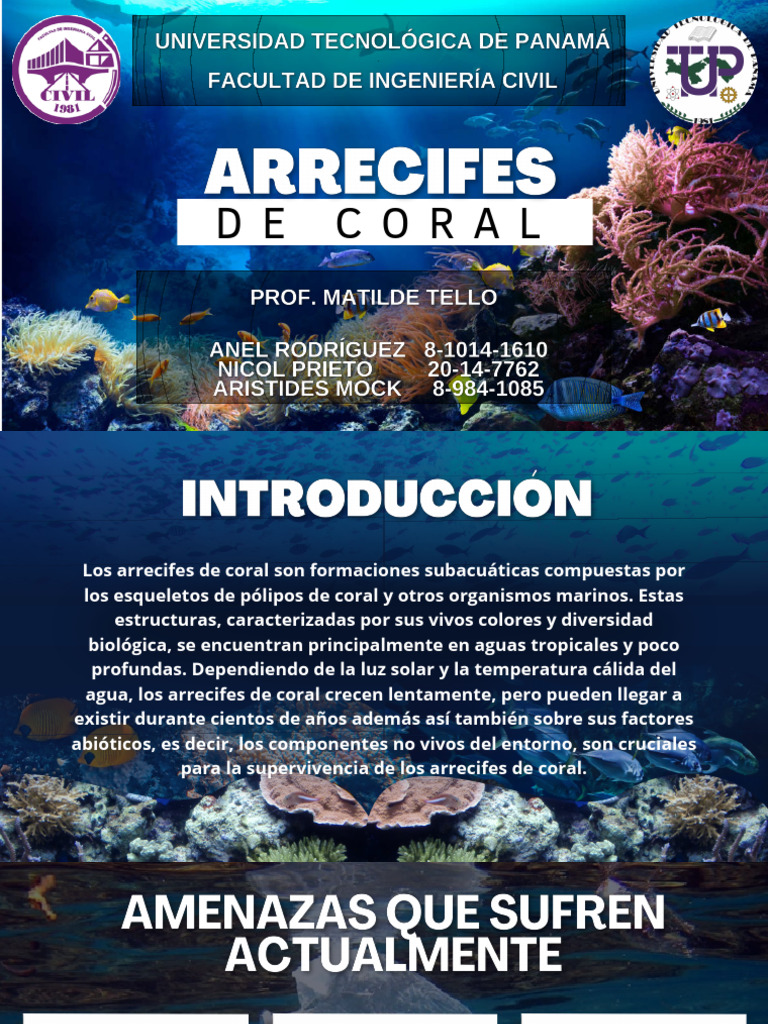 Arrecifes de Coral | PDF | Arrecife de coral | Ecología