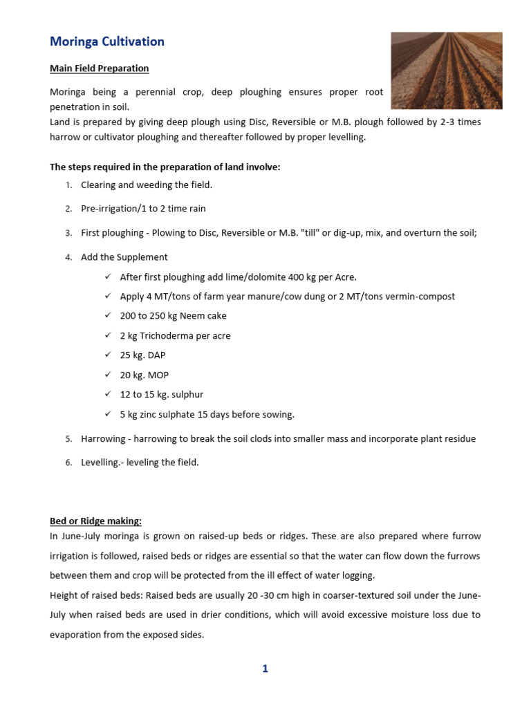 Pre-planting operation - Moringa and Papaya | Download Free PDF ...