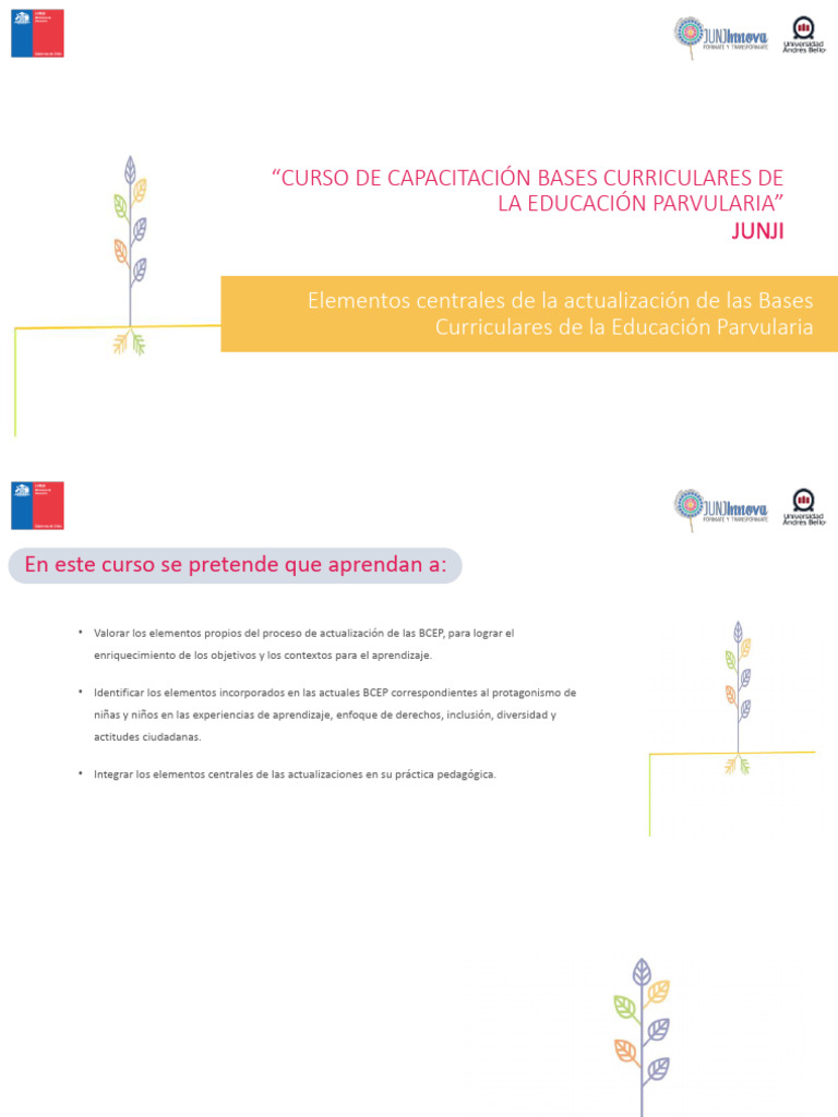 4 Elementos Centrales de La Actualización de Bases Curriculares Final | PDF | Educación de la ...