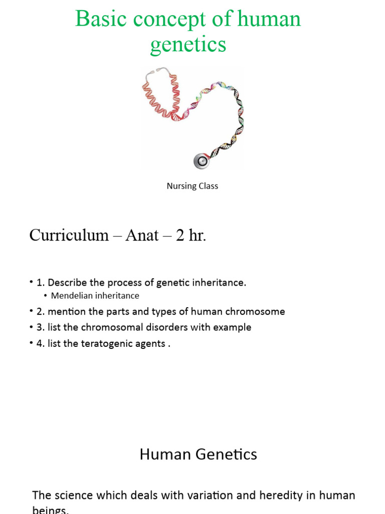 Human Genetic General-1 | PDF | Dominance (Genetics) | Allele