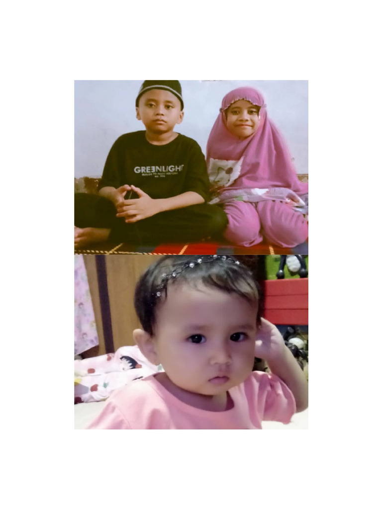 Downloadfile Bin | PDF