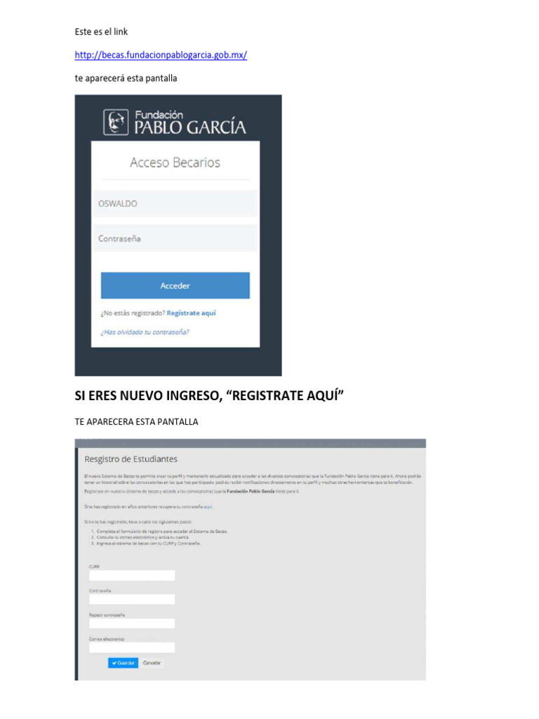 Manual de Llenado | PDF | Contraseña