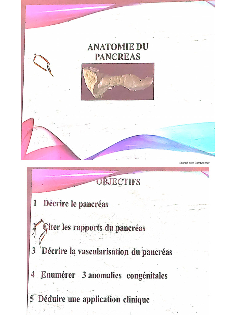 Pancrea | PDF