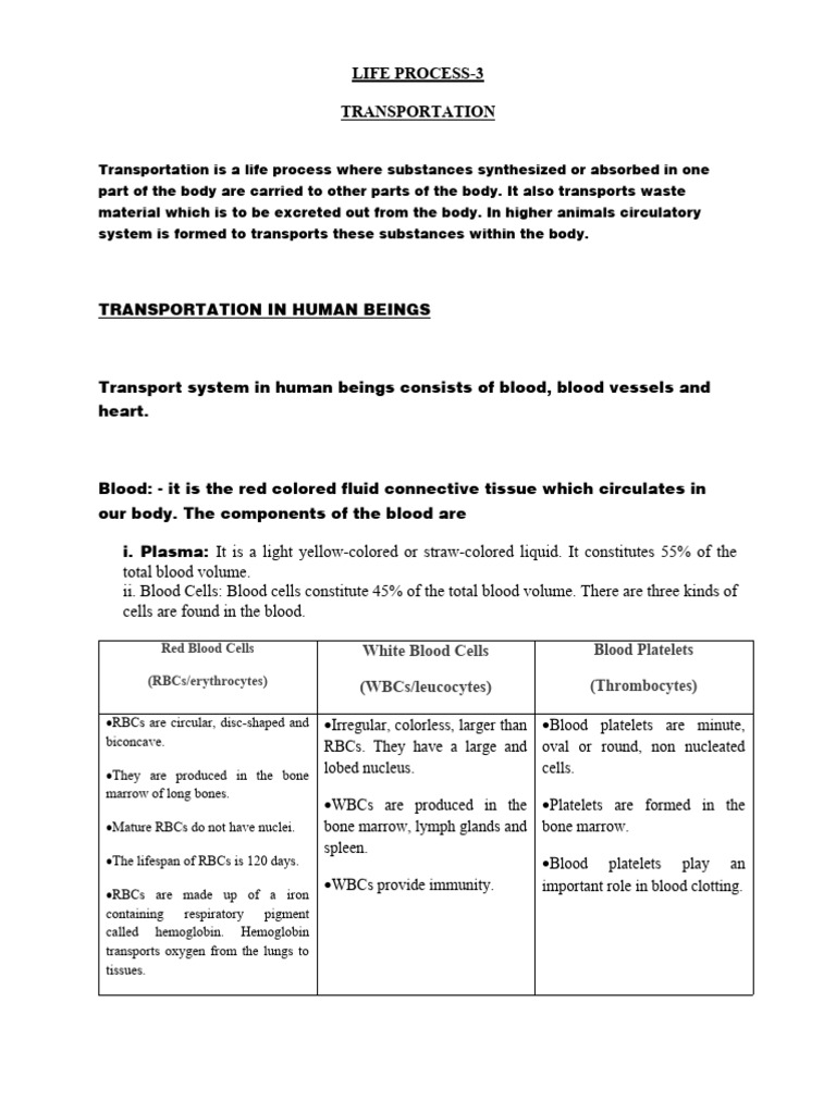 Transportation Class 10th | PDF | Atrium (Heart) | Heart