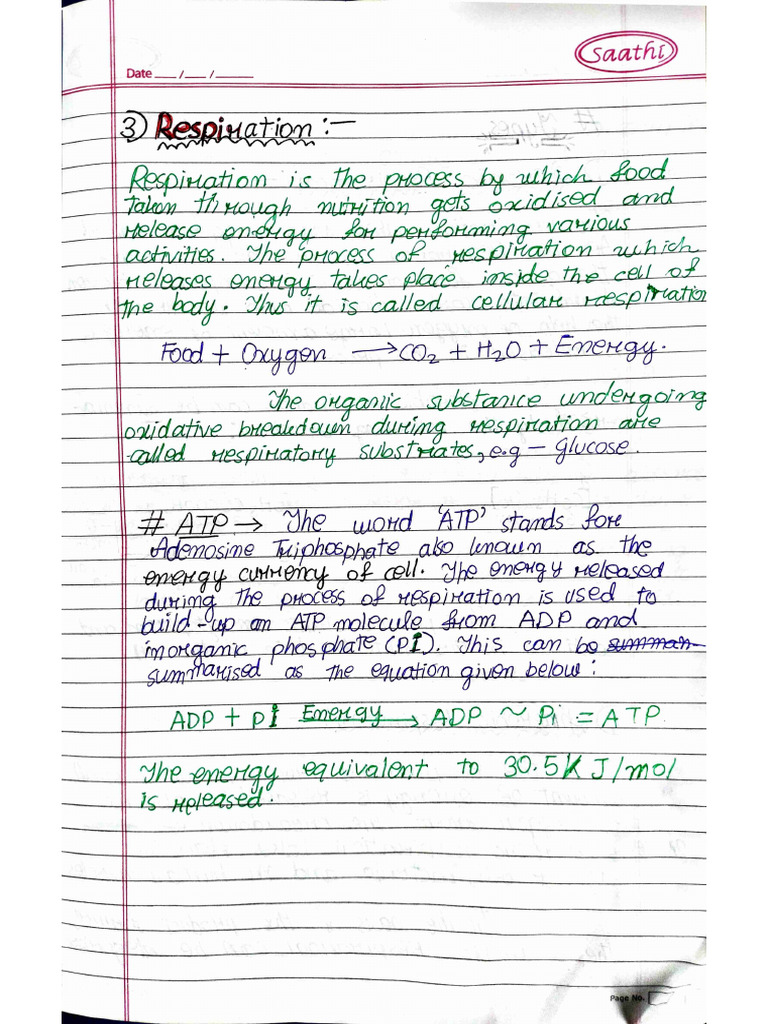 Life Process (Respiration) Class 10th | PDF