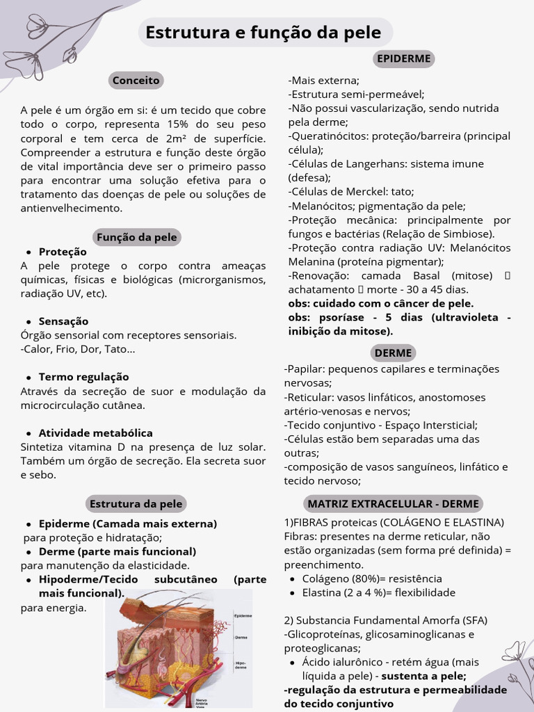 Prova Dermatofuncional - 20240707 - 094746 - 0000 | PDF | Anatomia | Especialidades médicas