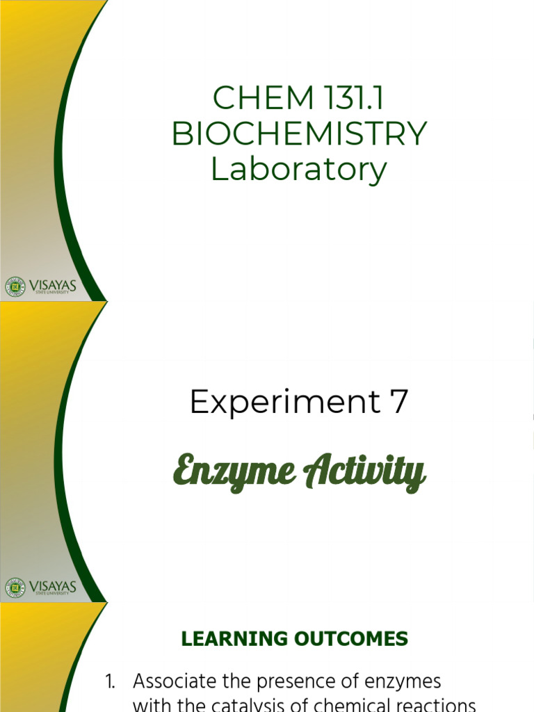 Experiment 7 Enzyme Activity v2 | PDF | Enzyme | Active Site