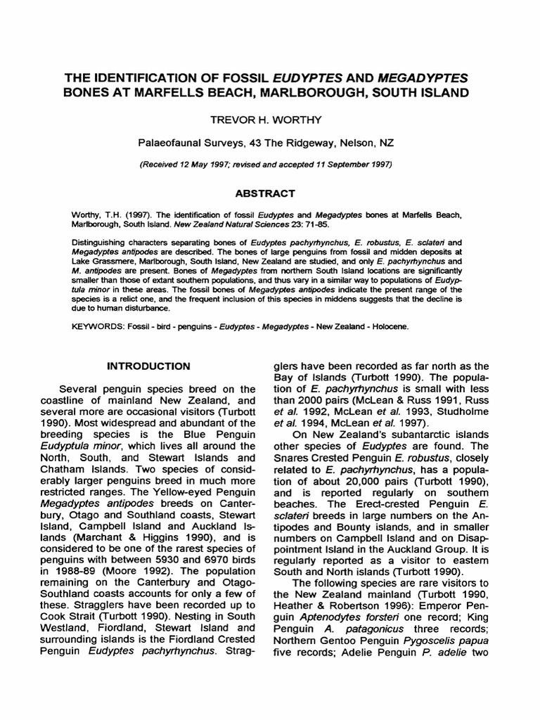 THE IDENTIFICATION OF FOSSIL EUDYPTES AND MEGADYPTes Bones | PDF ...