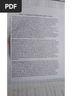 Grade 12 History P1 Essay | PDF | Black Power | Black Panther Party