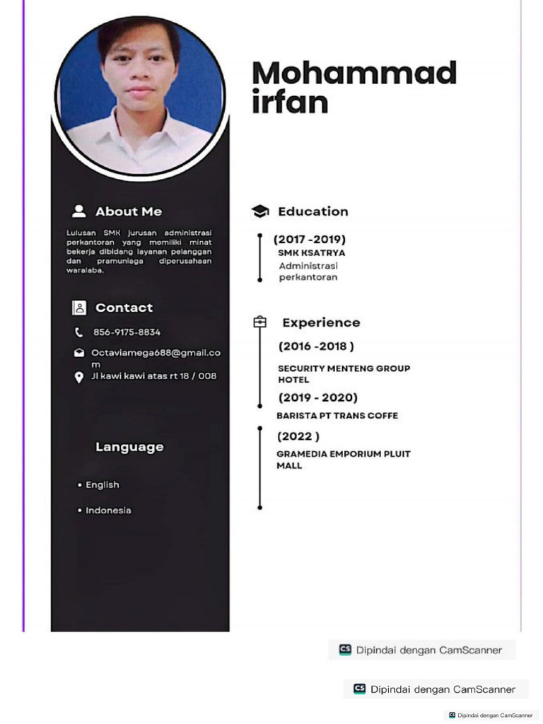 Mohammad Irfan - CV | PDF