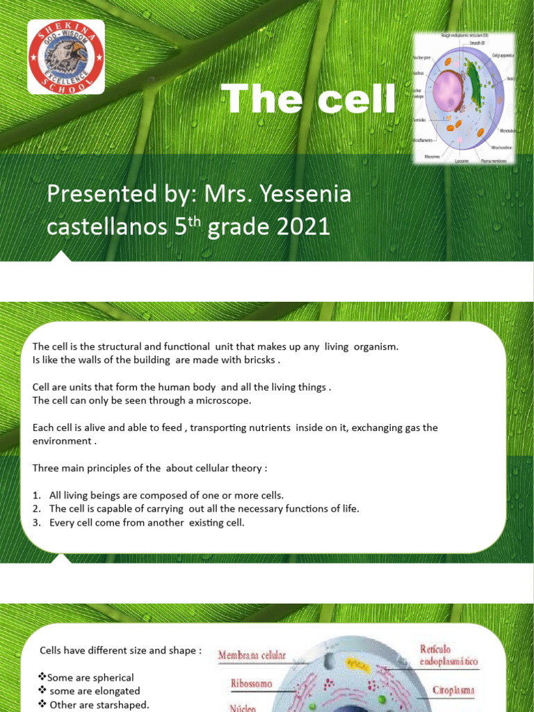 The Cell 5th 2021 | PDF | Self-Improvement