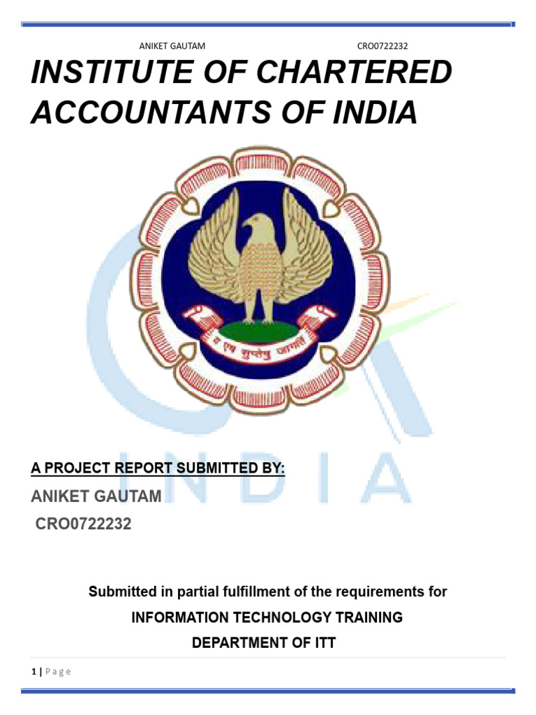 Aniket Gautam Itt Project | PDF | Spreadsheet | Microsoft Excel