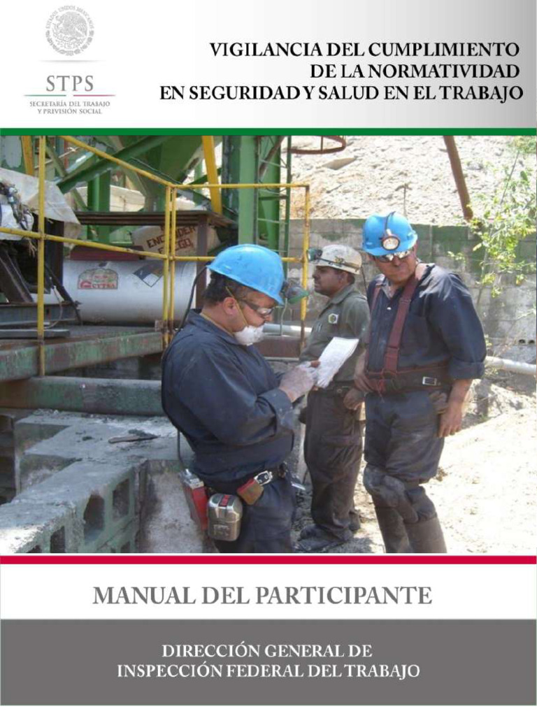 Manual de Seguridad e Higiene | PDF | Radiación | Valores