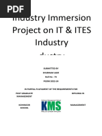 IT & ITES Sector ppt | PDF | Business Process Outsourcing | Outsourcing